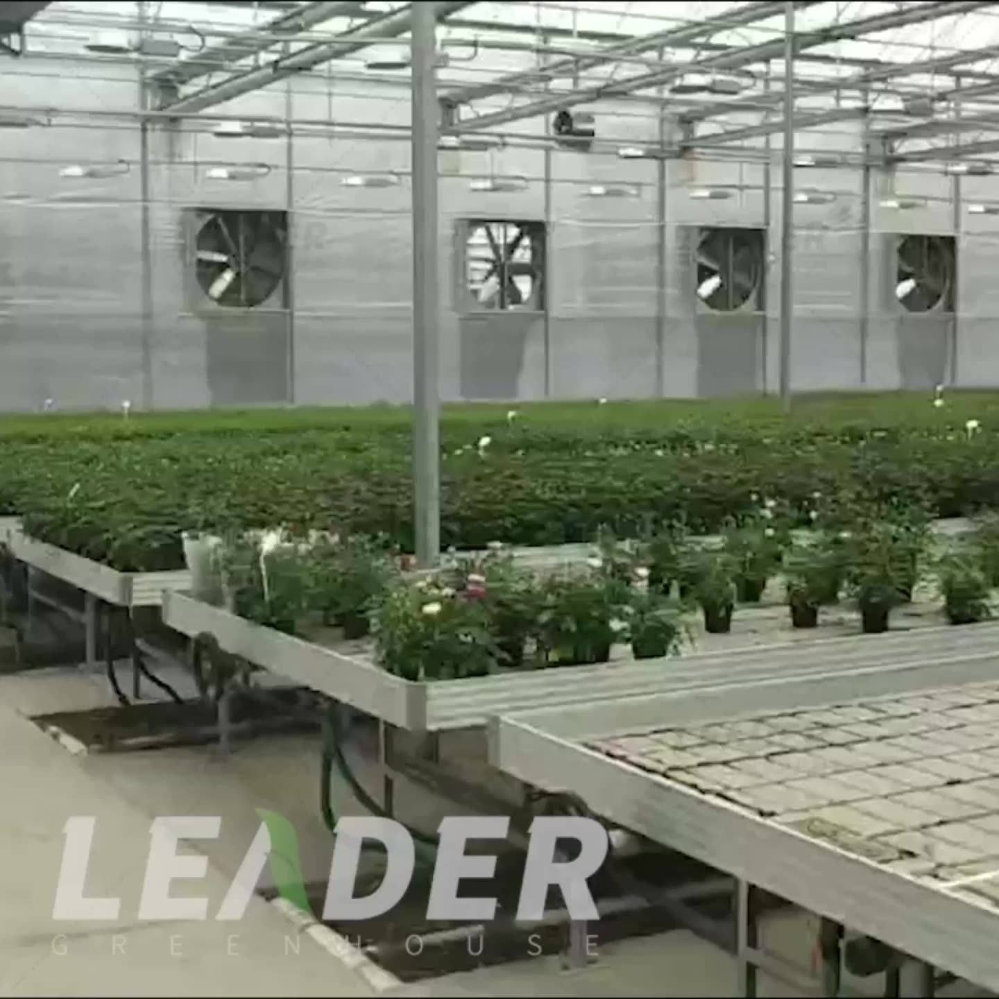 Hydroponic Systems Ebb And Flow Planting Galvanized Legs Growing Flood ...