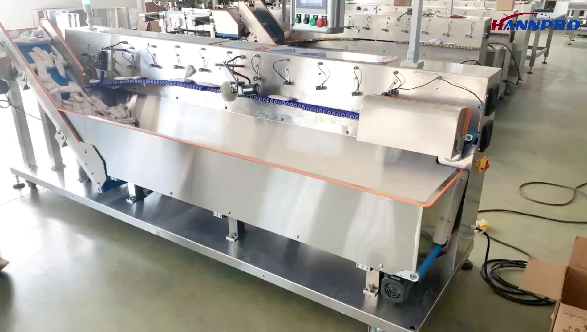 Hannpro Pouch Sachet Sorter Flow Packing Machine Snack Small Bag ...