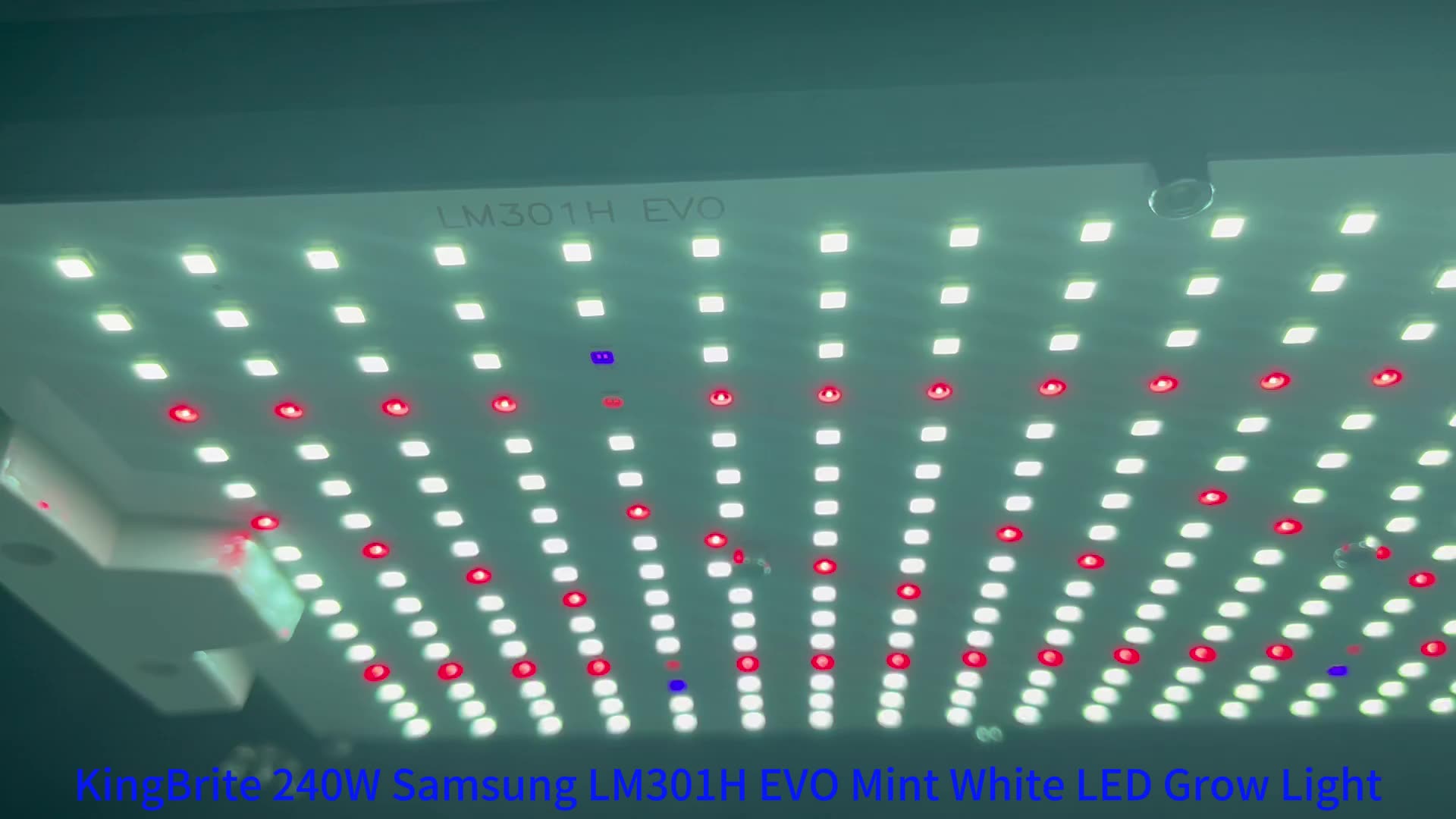 240w Samsung Lm301h Evo Mint White Mix 660nm Uv Ir Full Spectrum Kingbrite Led Grow Light - Buy ...