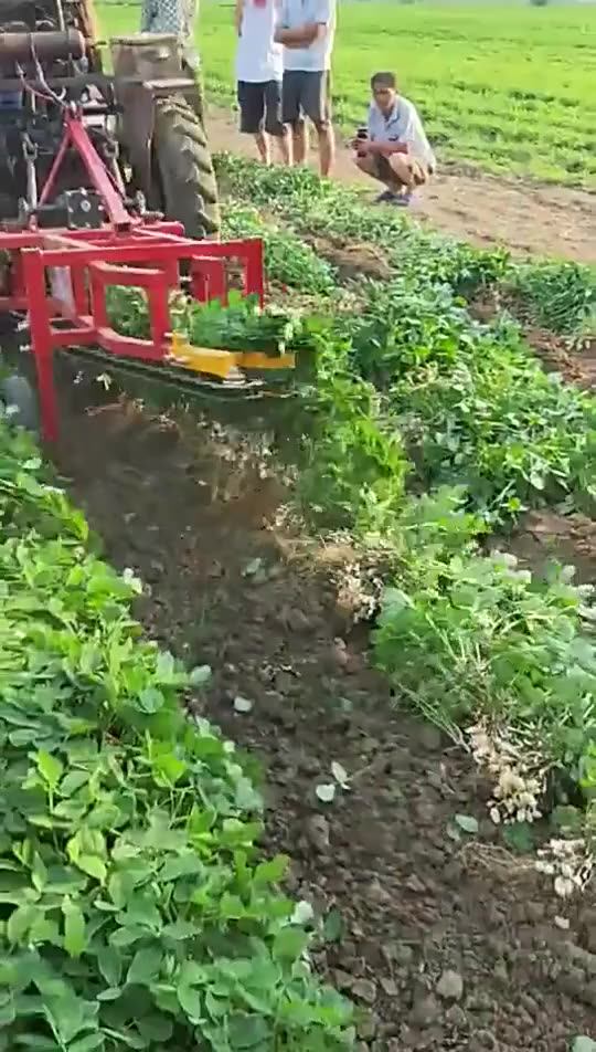Small Peanut Groundnut Harvester Machine For Sale Price Harvesting Mini ...