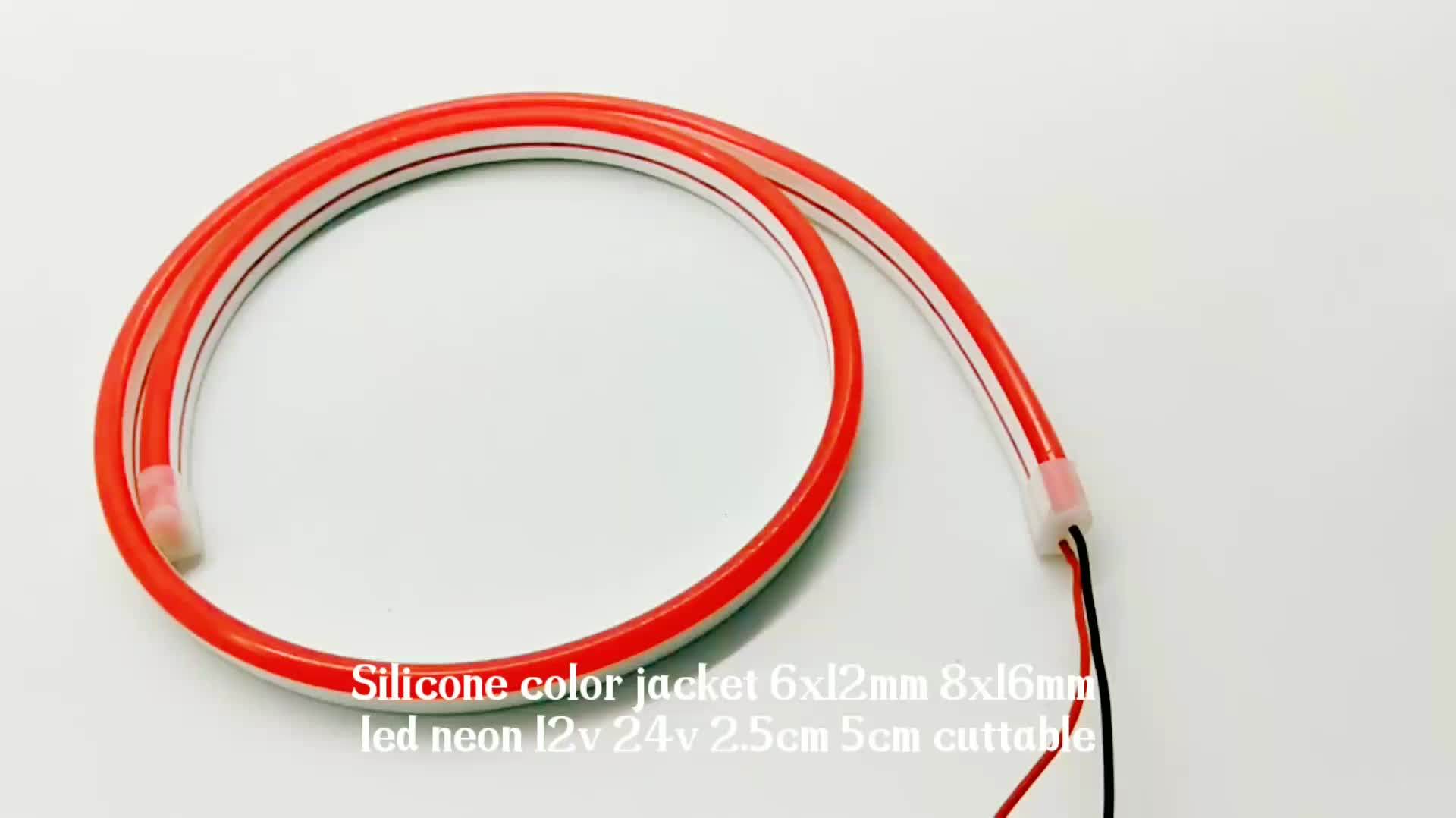 Mini Led Neon Flex 12v 24v 110v 220v Rgb Led Neon Light - Buy Led Neon ...