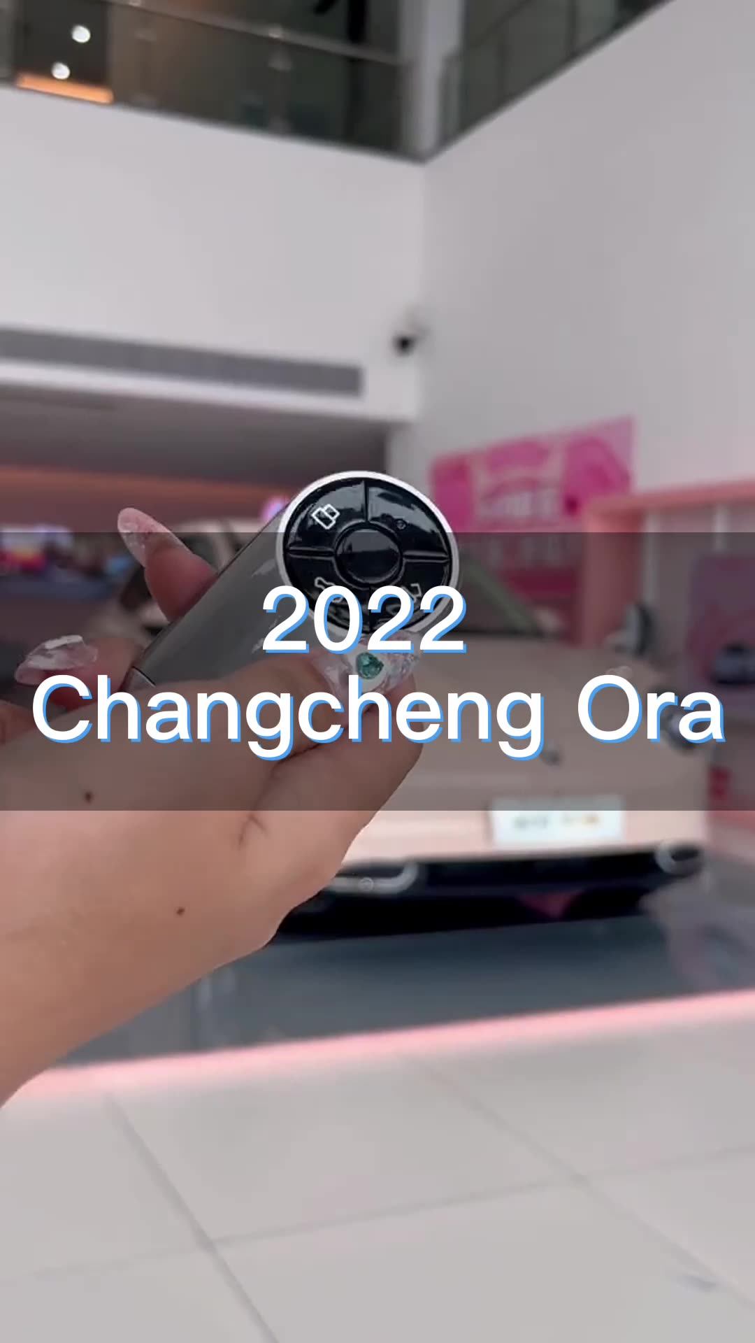 New Energy Vehicles 2024 Gwm Ora Ballet Cat Cars Long Range Electro Car ...