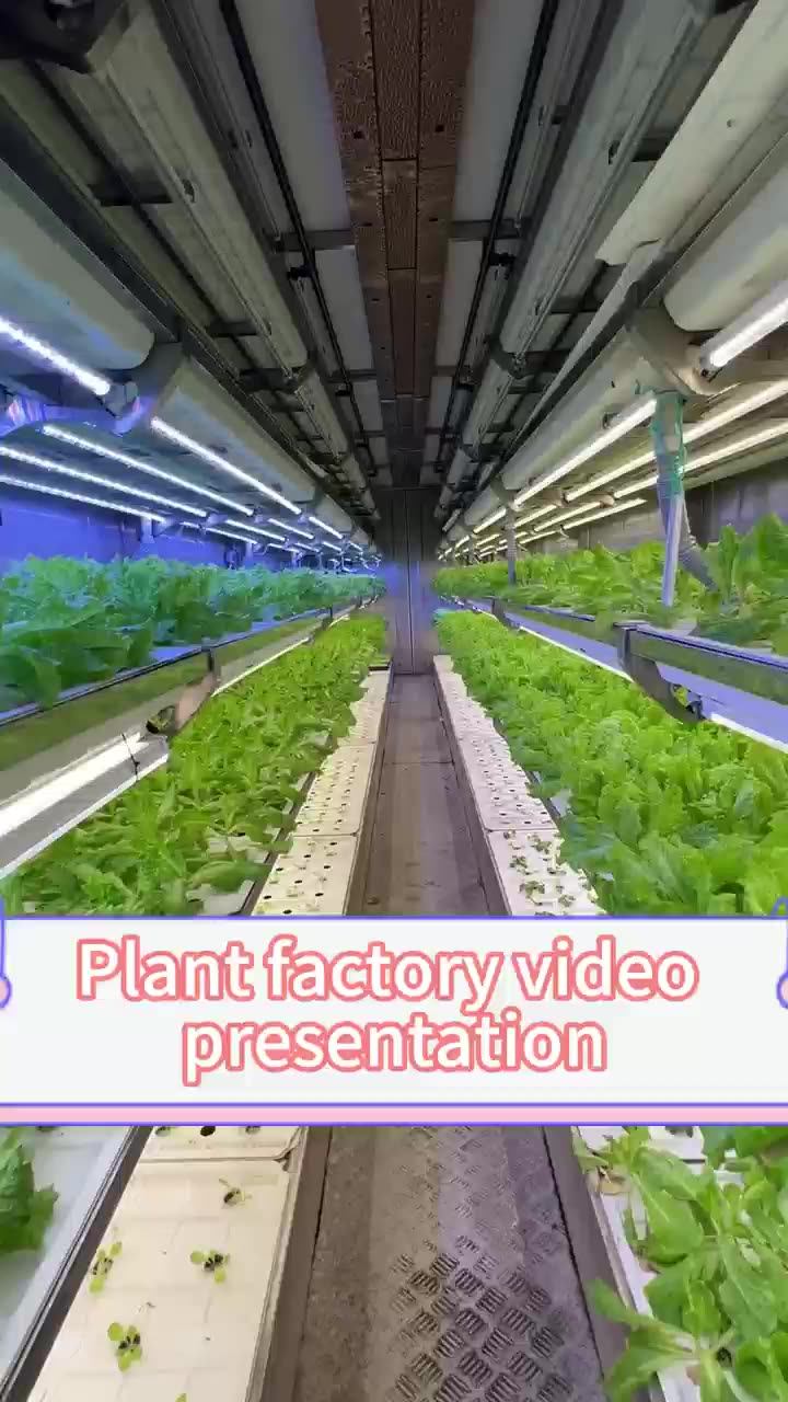 Rotating Plant Chain Fully Automatic Container Planting Farm With ...