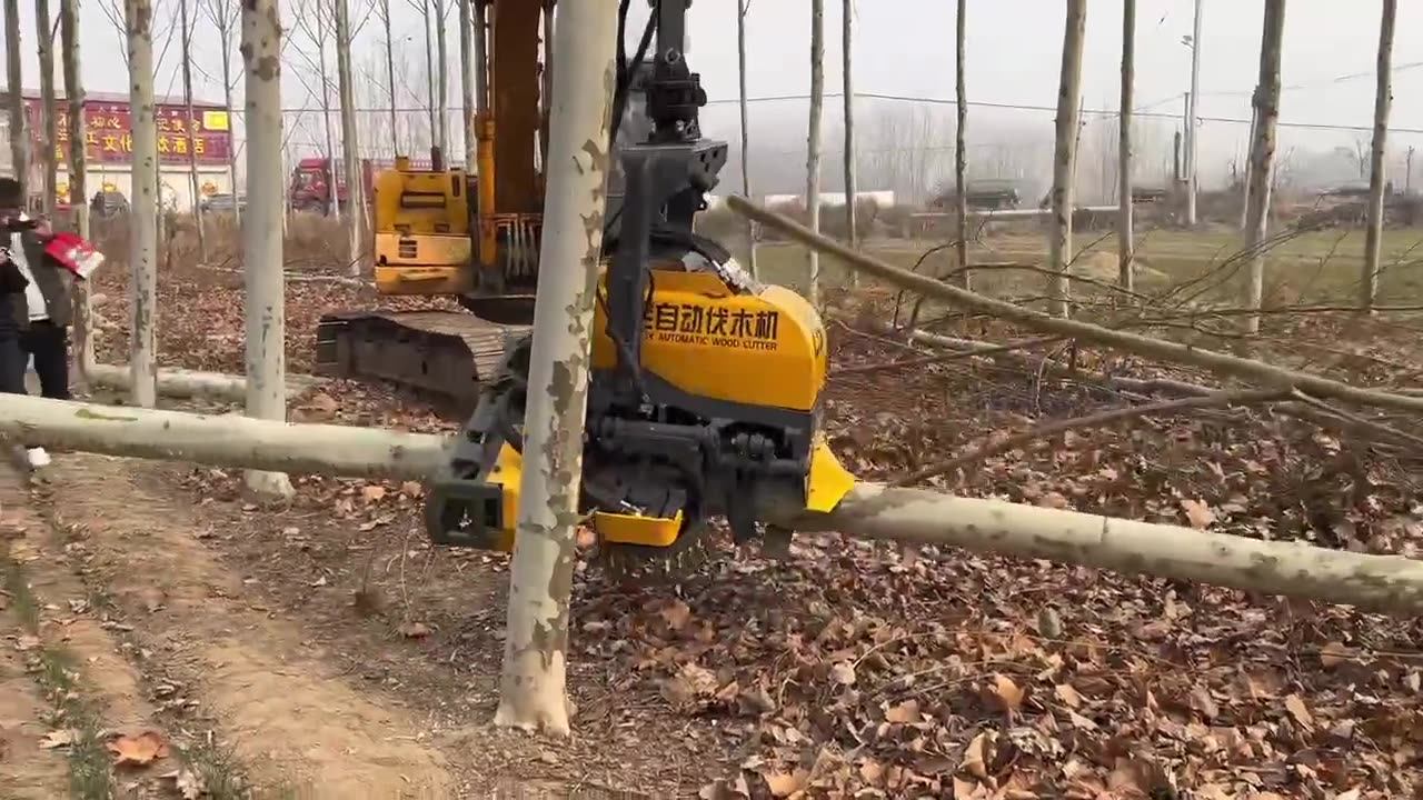 挖掘机液压全自动伐木机割树机砍树机器林场伐木抱夹锯挖机伐树机-阿里巴巴