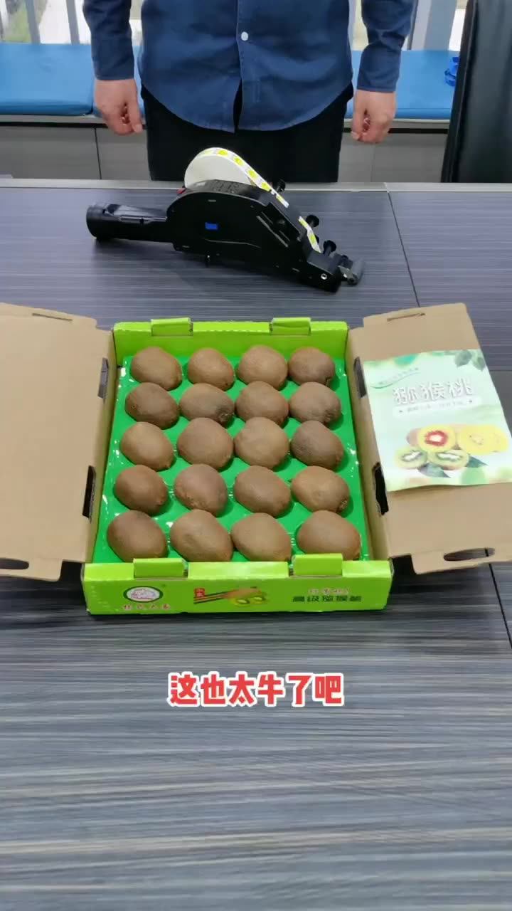 For Big Label Sticker Bsc Ea80 Portable Labeling Machine 80mm Electronic Handheld Labeler High ...