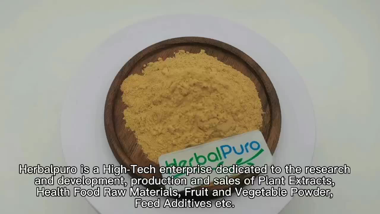 Wholesale Supply Thunder God Vine Root Tripterygium Wilfordii Extract ...