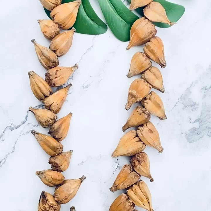 Handmade Natural Seed Polynesian Tongan Traditional Ula Fala Leis ...