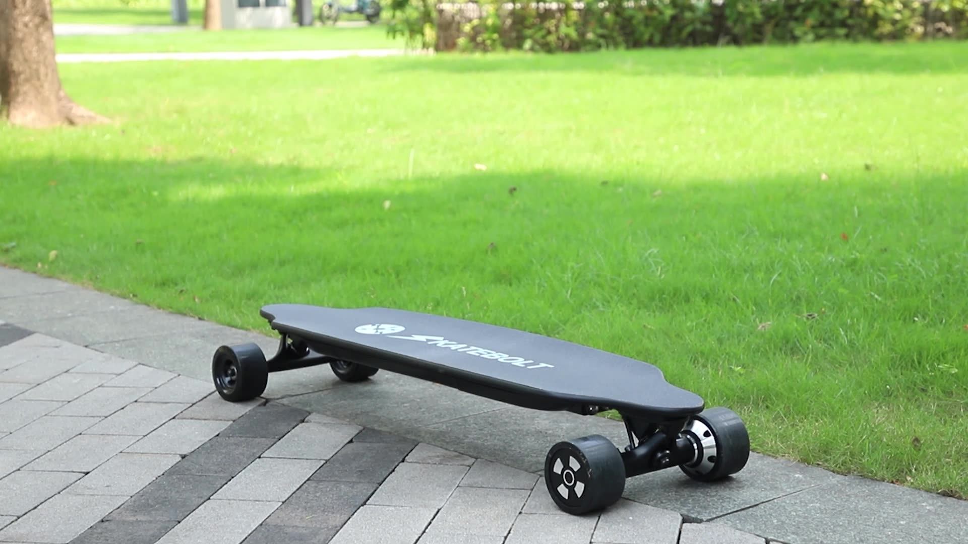 Dual Motor Electric Skate Board Remote Control Longboard Electric ...