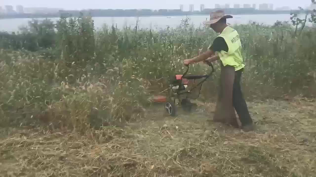 Manual Hand Push Brush Cutter Grass Trimmer Machine Manufacturer - Buy ...