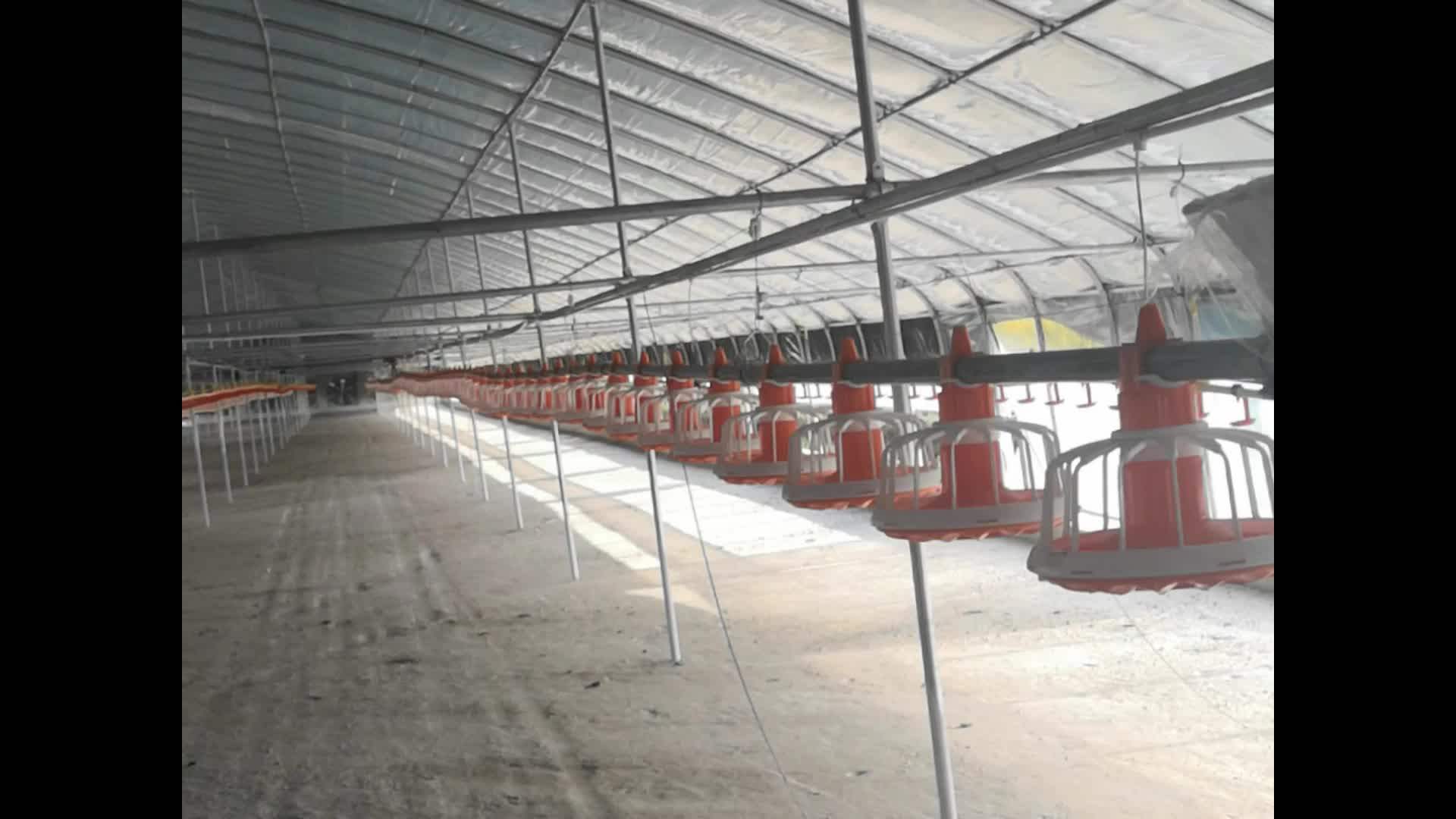 Farming Automatic Chicken Drinking And Feeding Line System Chicken Farm ...