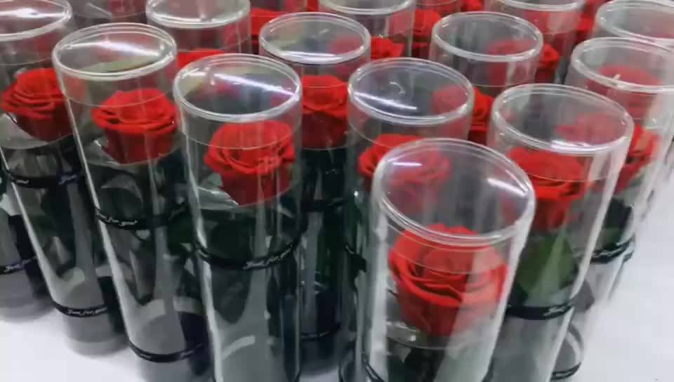 Long Stem Preserved Roses Custom Colors Single Roses - Buy Long Stem ...