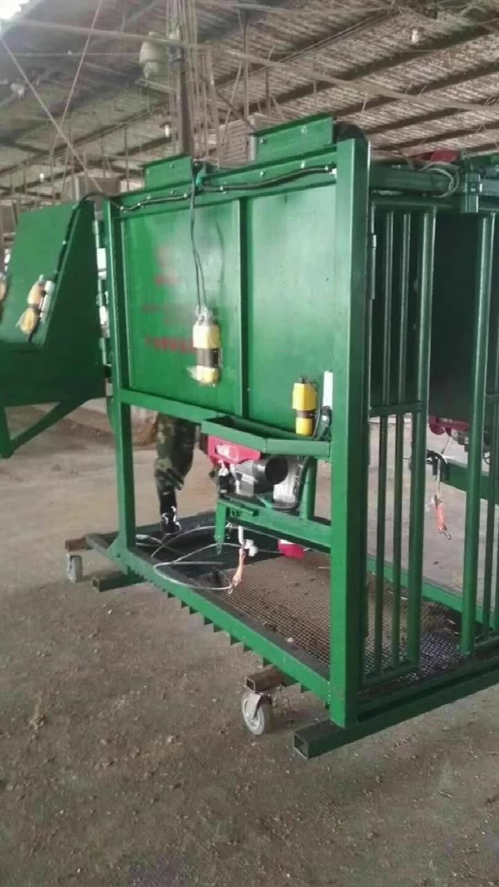 Cattle Cow Hoof Trimming Chute Crush For Livestock Equipment - Buy Hoof ...