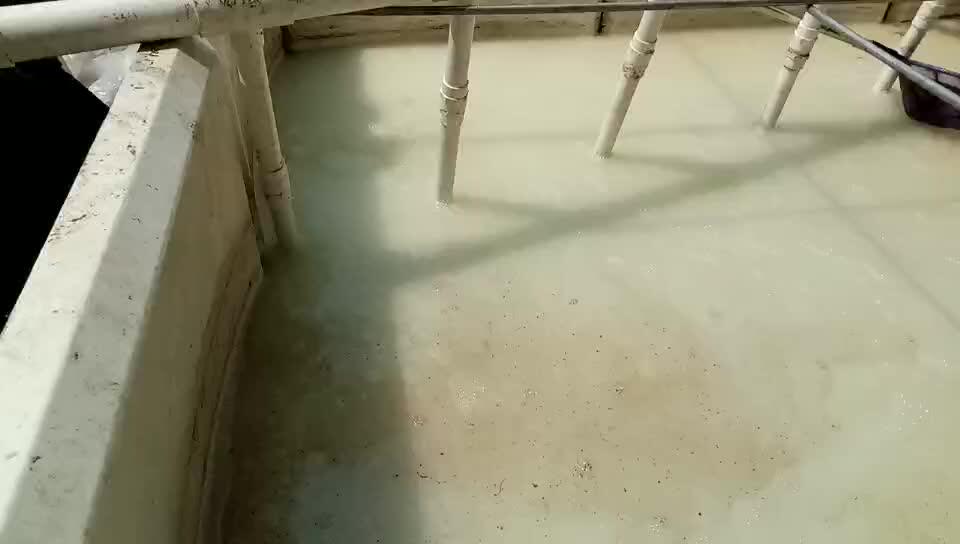 Edon Daf Micro Air Aeration Nano Fine Bubble Diffuser Daf Dissolved Air ...