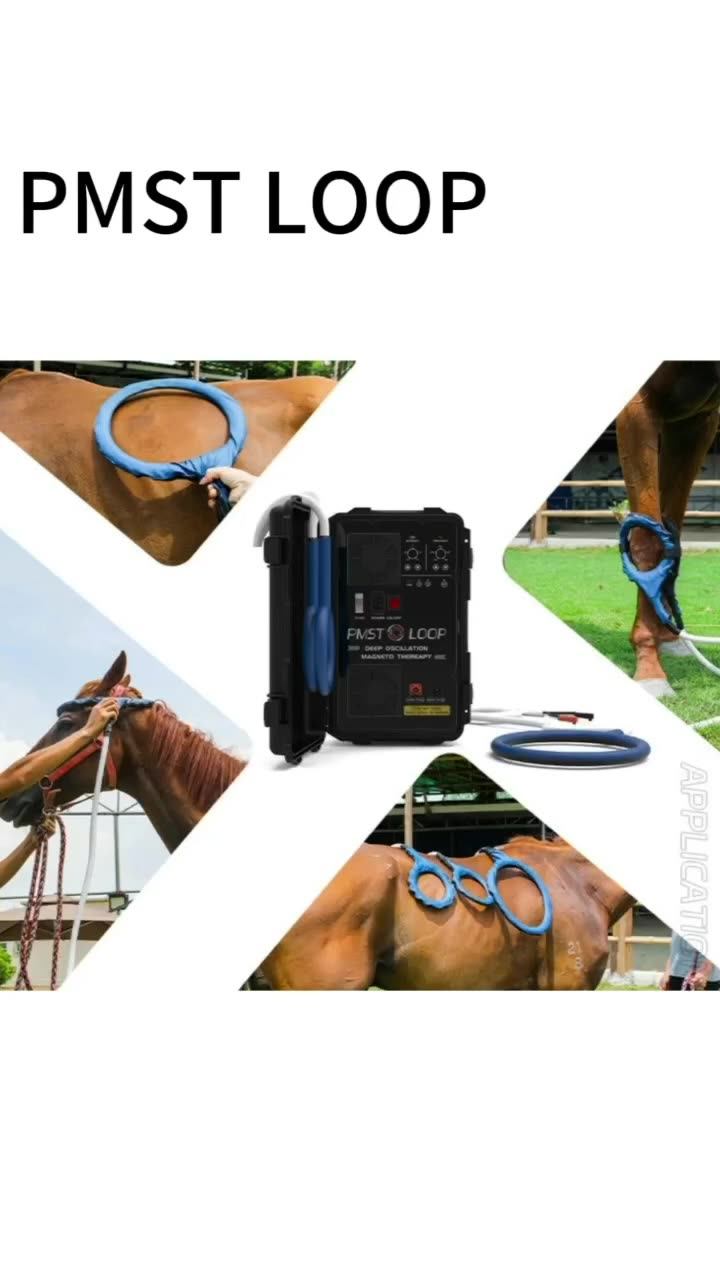 Portable Pemf Magnetic Therapy Device Pmst Loop Horse Magnetic Therapy ...