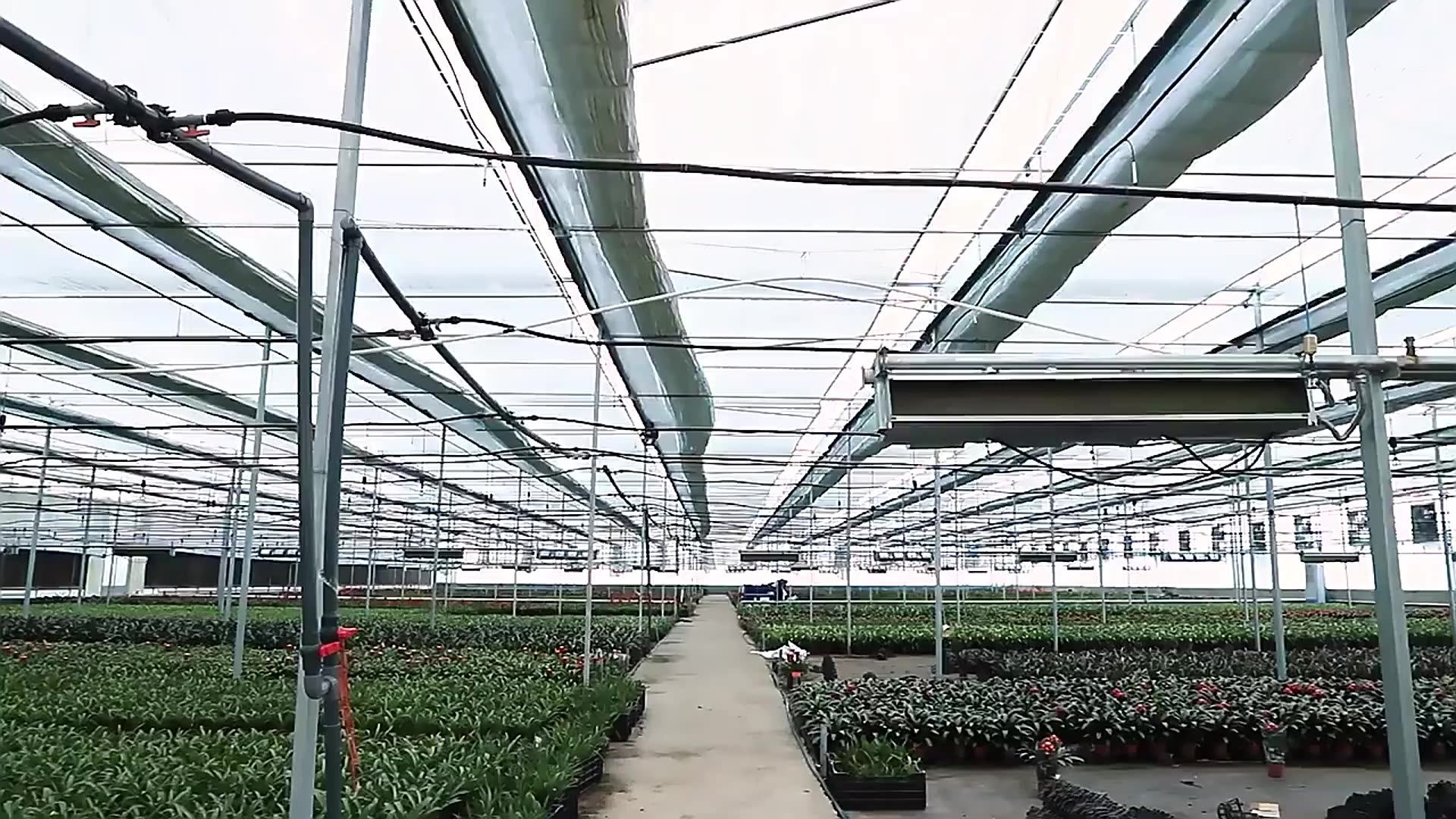 Spray Irrigation Systemgeodesic Dome Sawtooth Greenhouse Hydroponic ...