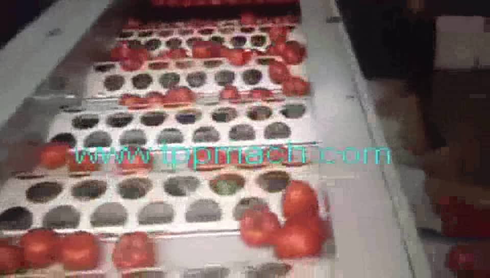 5 Grades Small Round Fruit Tomato Size Sorter Sorting Machine Price ...