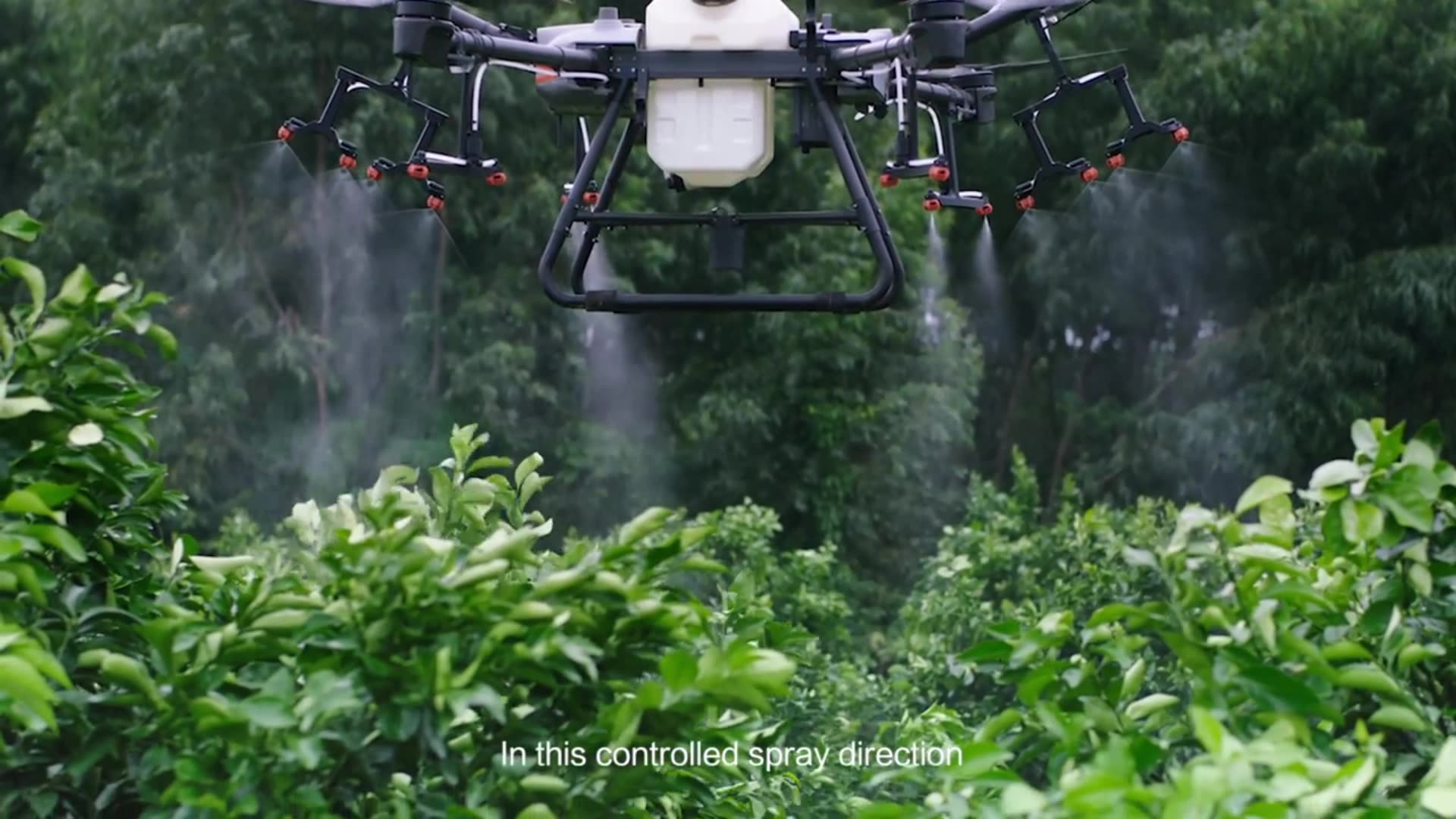 Dji T20 T40 Crop Protection Drone Agras T20 Agricultural Spraying Drone Starting New Production ...