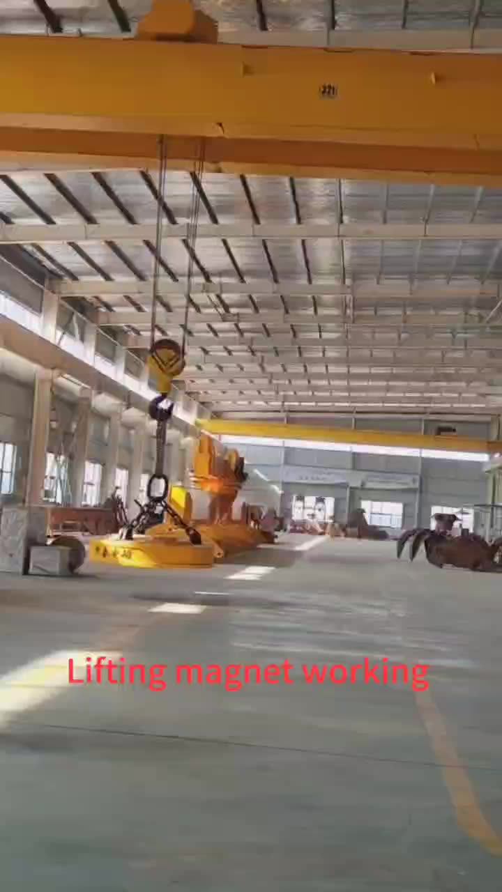 Shipyard Container Lifting Magnetic Cranes 1000kg Lifting Magnet 100kg ...