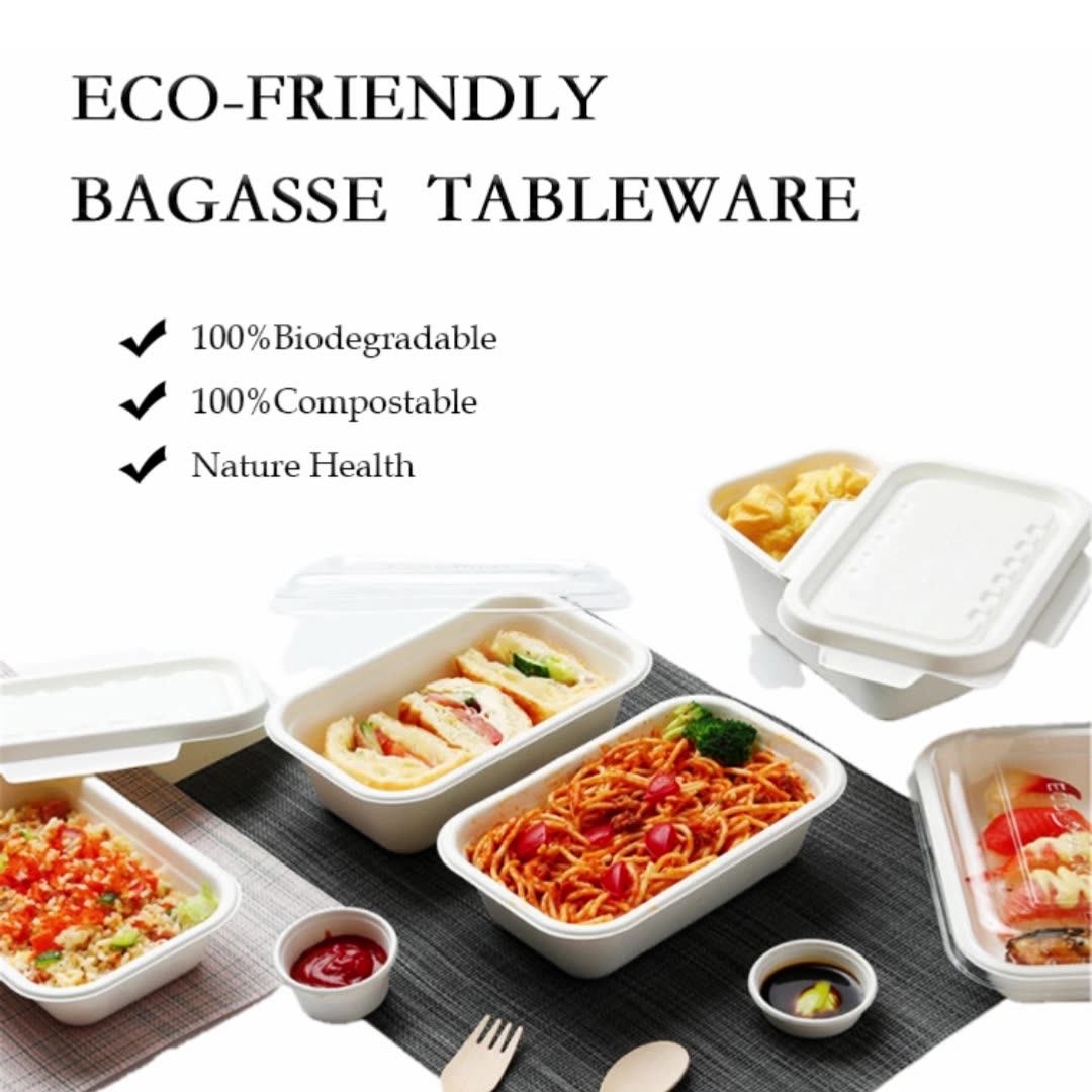Sugarcane Bagasse Compartment Food Tray For Food Home Restaurant ...