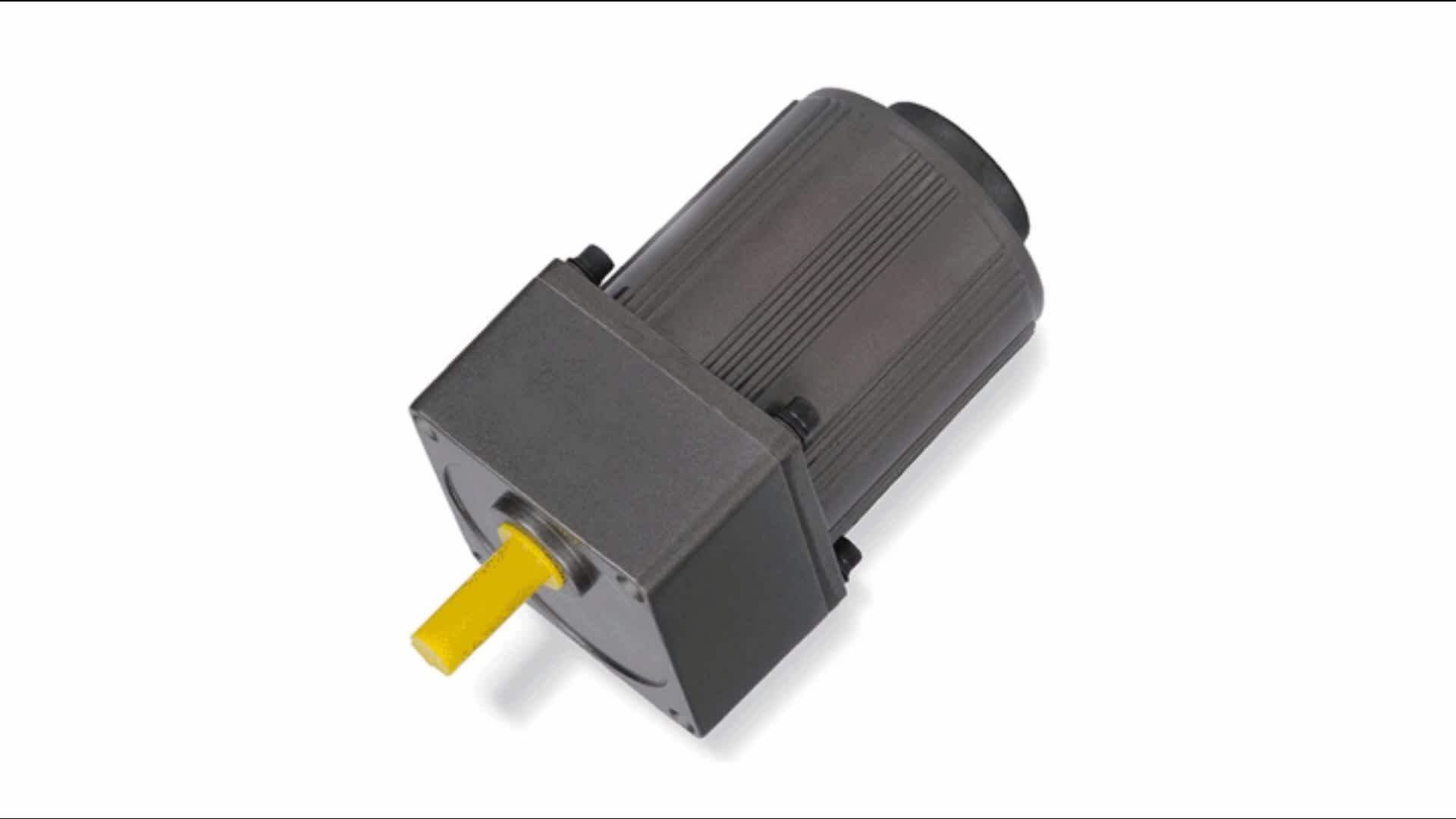 6w To 750w Low Rpm High Torque Micro Ac Gear Motor With Speed ...