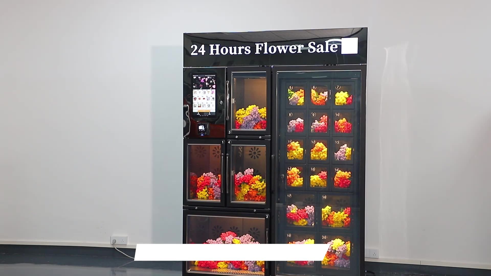 Haloo 12 Cells Flower Vending Machine Gifts Flower Holding Machine With ...