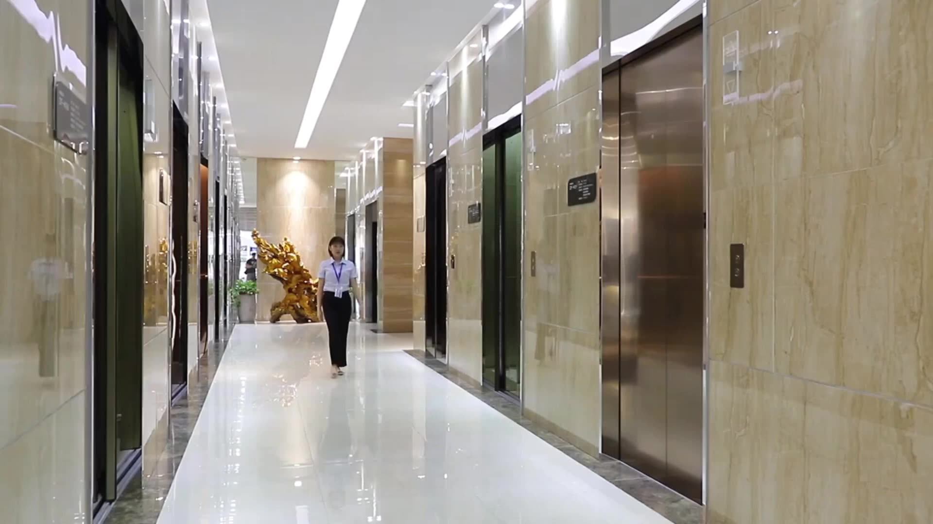 Fuji Hd Elevator Passenger Elevator Passenger Lifts Commercial Monarch ...