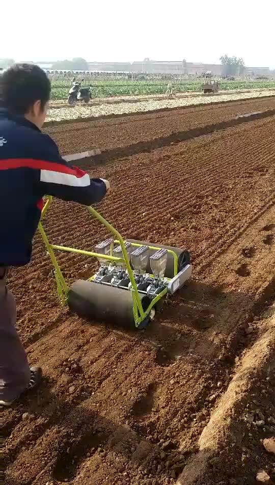 Sesame Planter Machine Precision Pumpkin Seeder Machine Planter - Buy ...