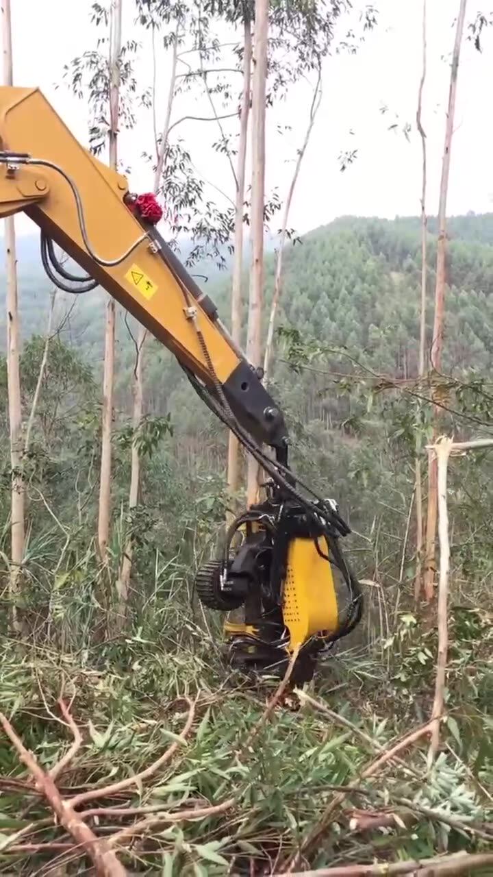 全自动伐木机林场挖掘机配套智能砍树机液压砍伐测量去枝一体机-阿里巴巴