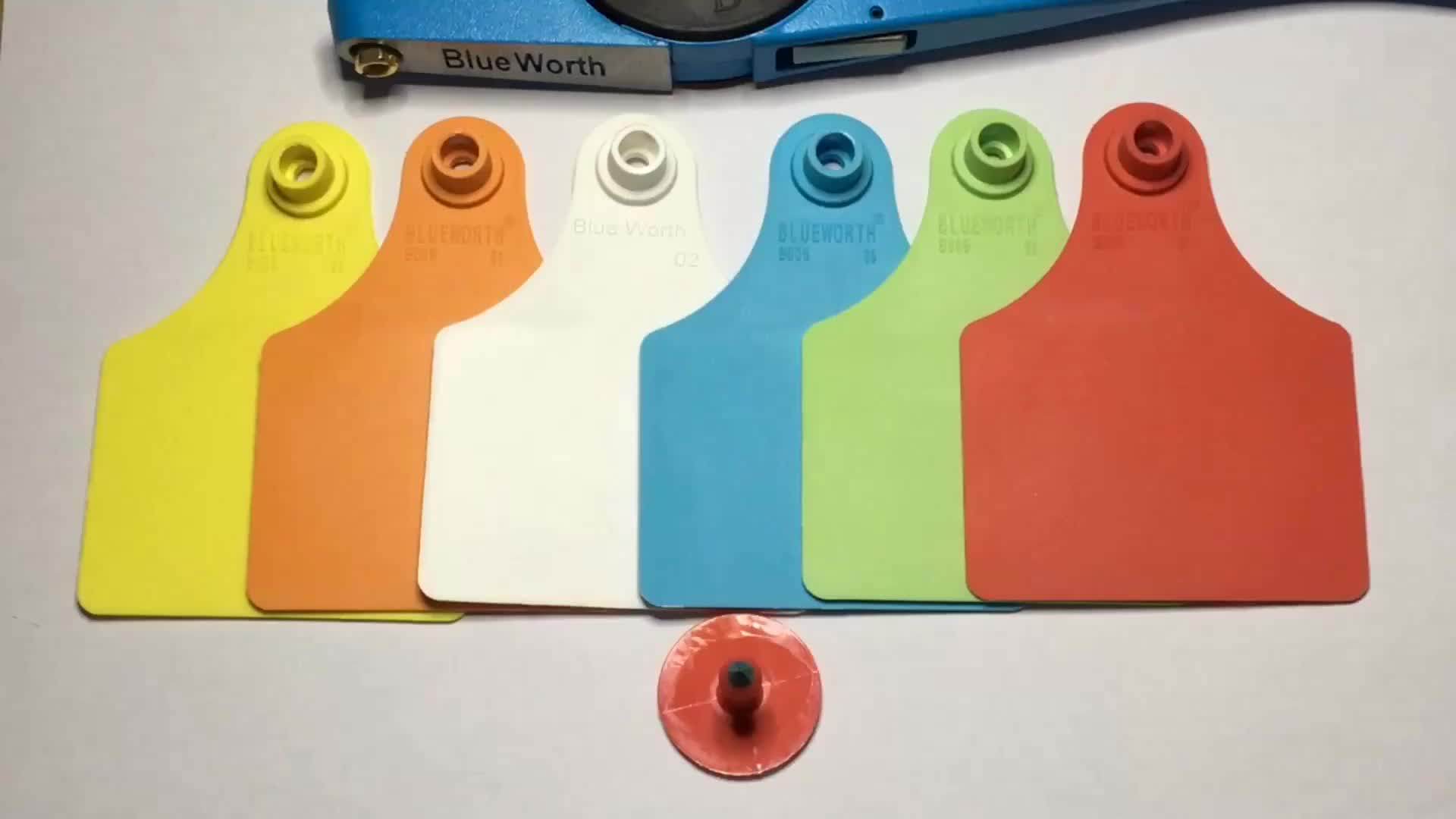 Big Size Female Ear Tag In Different Colors,Cattle Ear Tags - Buy Big ...