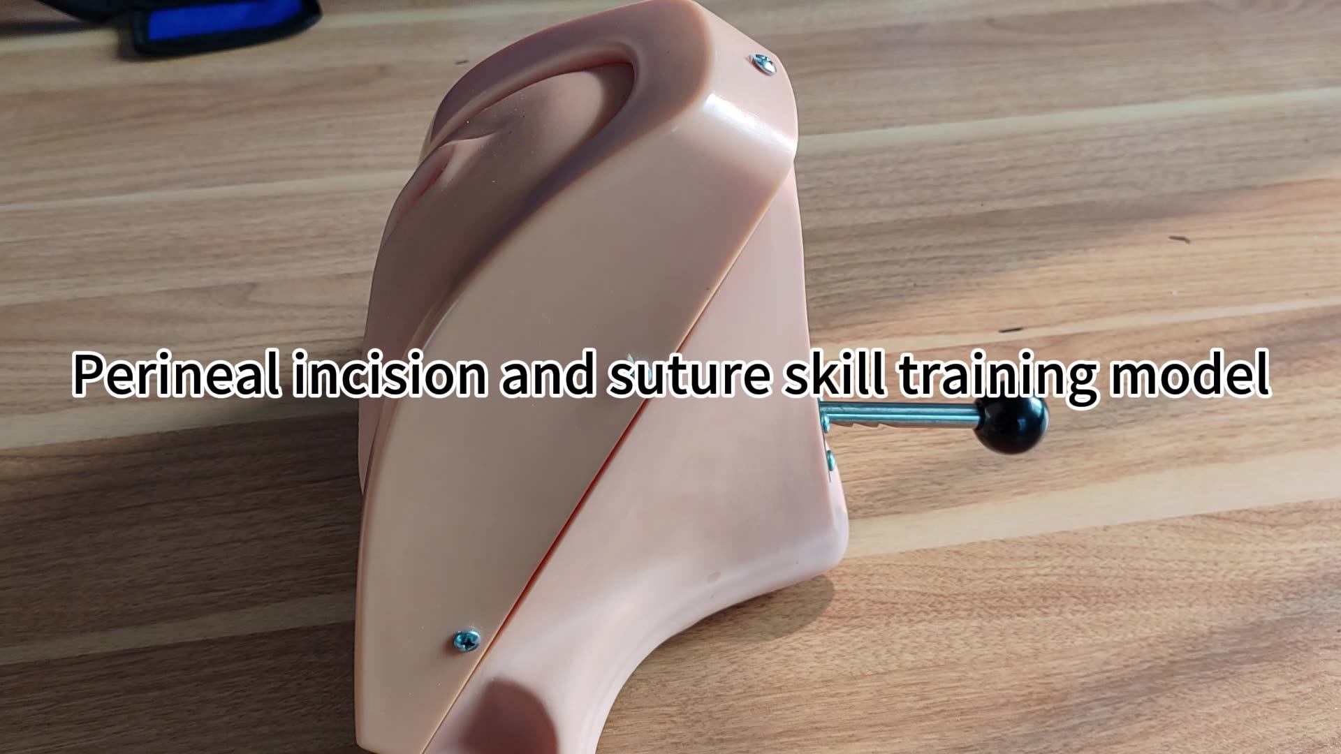 Medical Model Vulvar Suture Training Simulator Perineal Incision Suture ...