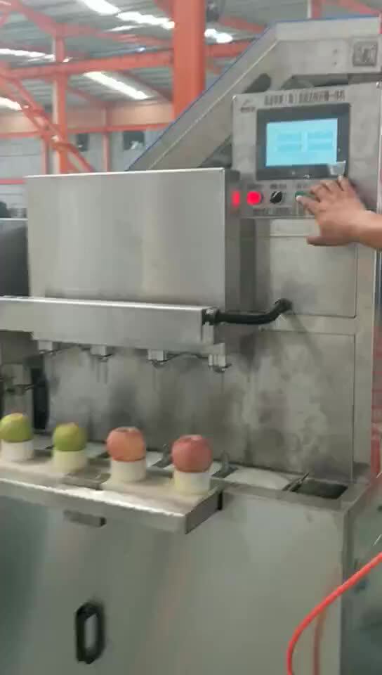 Automatic Fruit & Vegetable Peeling And Core-removing Machine For Apple ...
