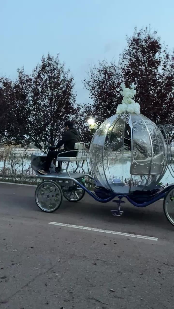 Perfect Princess Cinderella Horse Drawn Carriage/royal Luxury Wedding ...