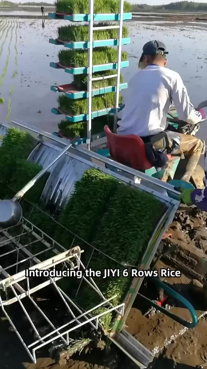 6-row Paddy Rice Transplanter Seeder Machine Used With Iot Motor Engine ...