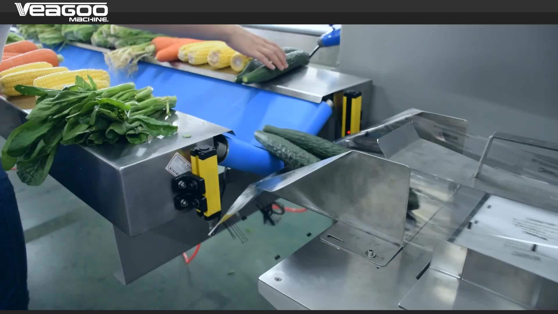 Vt-280x Three Servo Driven Multi Function Automatic Meat Packaging ...