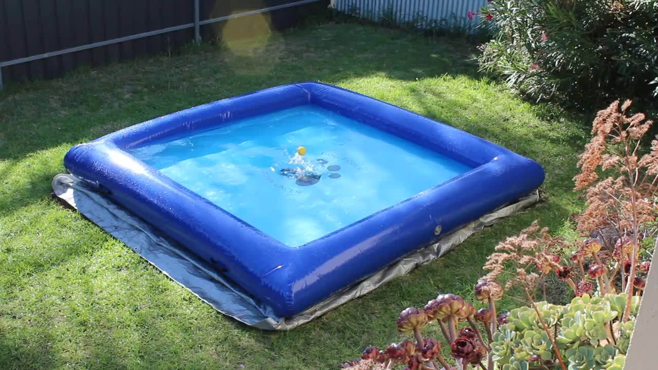 Customized Design Swimming Bath Inflatable Mini Inflatable Dog Pool For ...