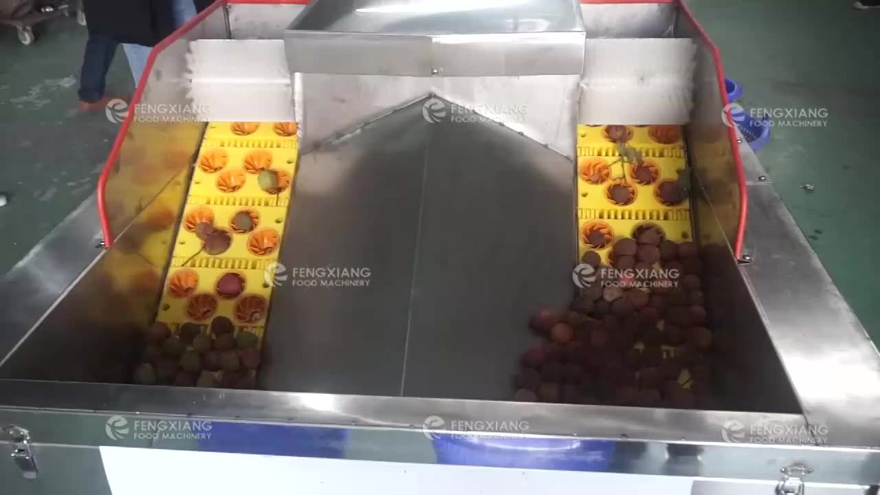 Industrial Fresh Lychee Core Remover Coring Machine Litchi Pitting ...