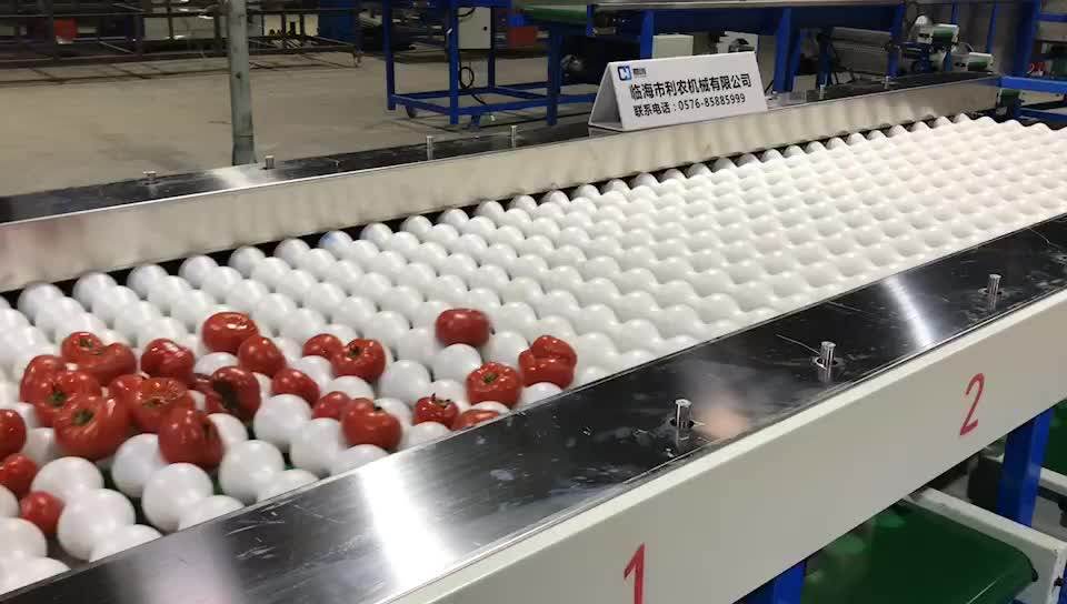 Tomato Sorting Machine - Buy Tomato Sorting Machine,Tomato Grading ...