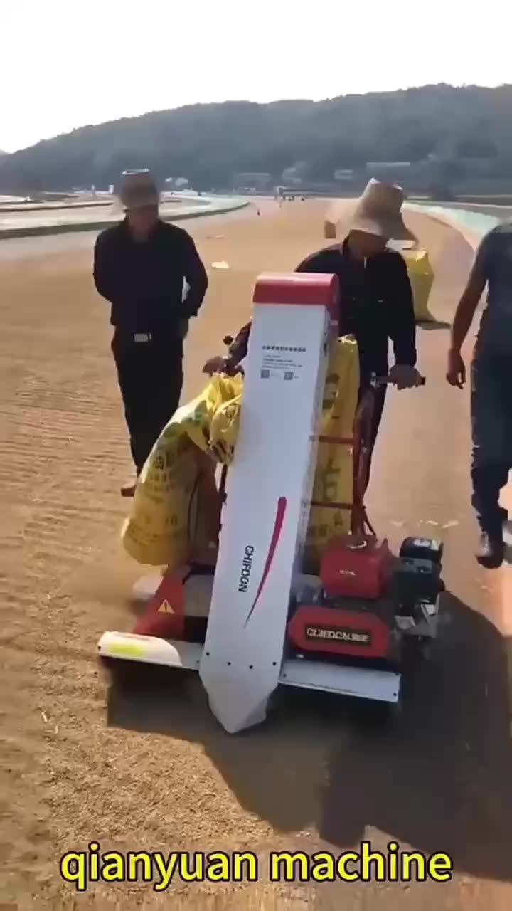 Taiho S.precision Intelligent Nir Sorting Machine Rice And Pine Nut ...