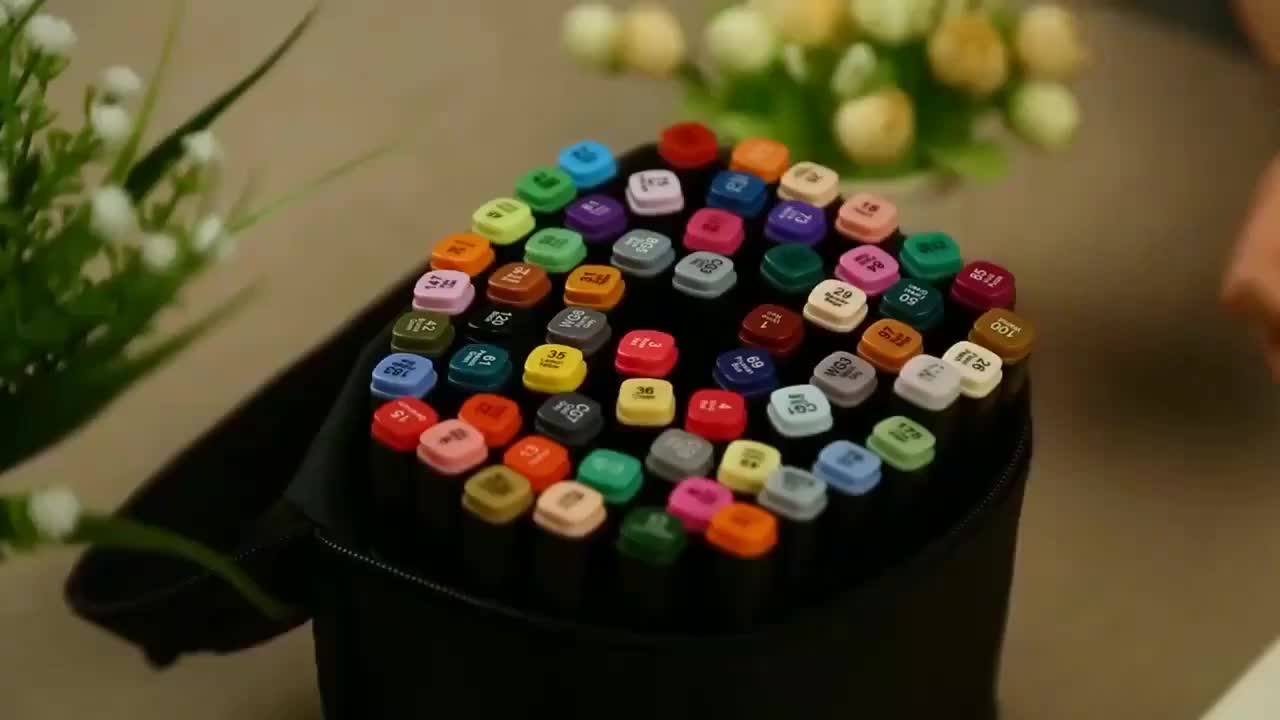 Selectable Professional Indoor 60 Colors Double Art Colouring Pens Fine ...