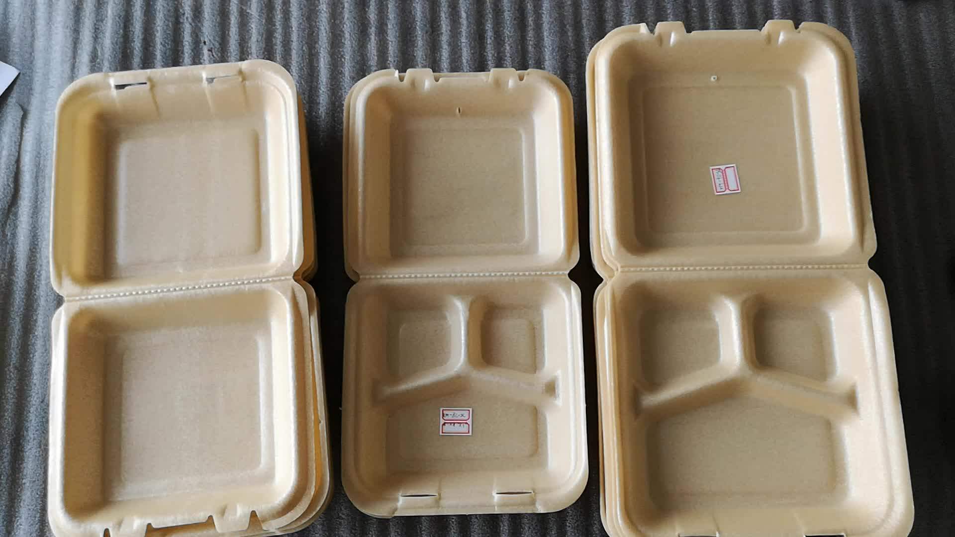 Biodegradable Eco Friendly Corn Starch Disposable Pla Food Foam ...