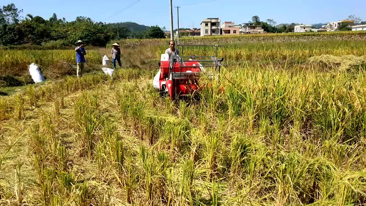Working Well Best Price Small Wheat Paddy Rice Combine Harvester Cutter ...
