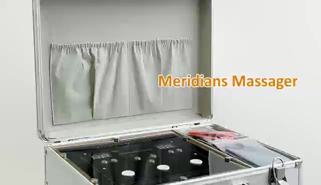 Dds Bio Electric Massage Machine Fohow Bioenergy Massager Meridian ...