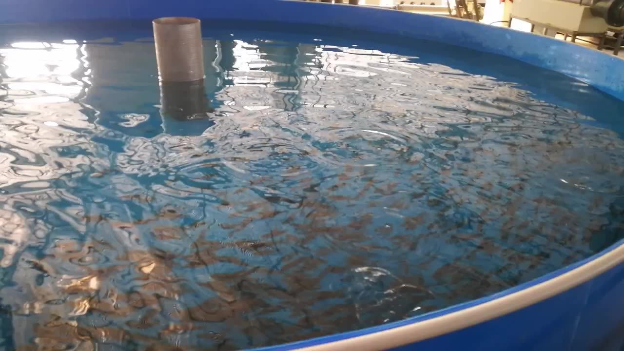 Fish Hatchery Equipment Fish Incubator System For Indoor Fish Sees For ...