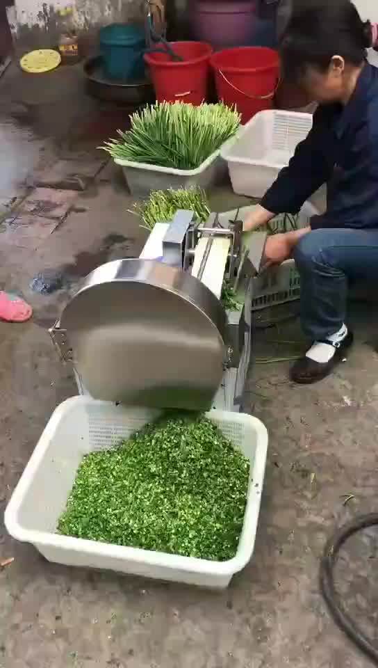 Multifunctional Green Onion Vegetable Chopper/ Vegetable Cutting ...