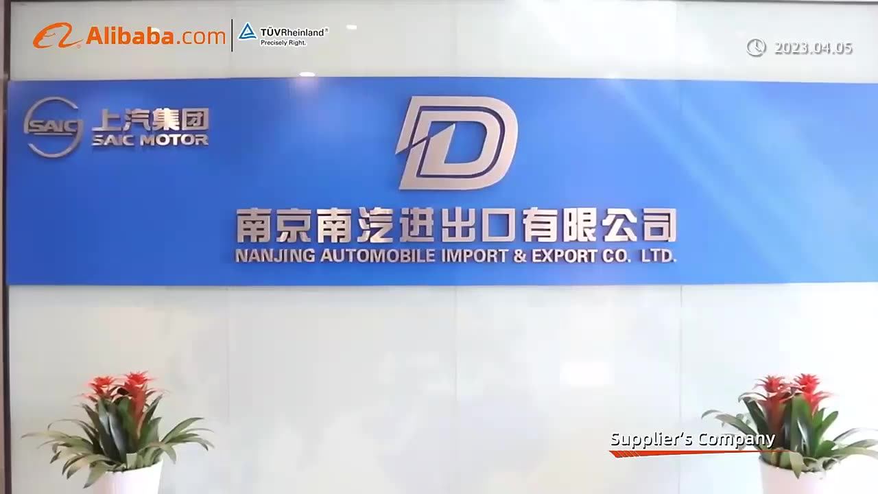 Genuine Original Mg5 Mggt Mg350 Auto Car Brace Pad With Oe Number ...