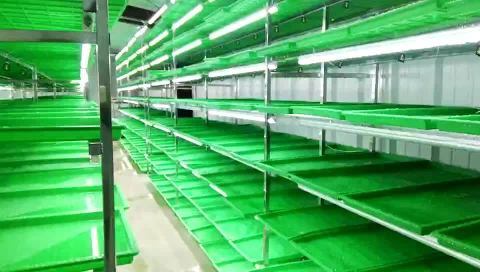 7t Big Output Professional Manufacturer Automatic Hydroponic Fodder ...