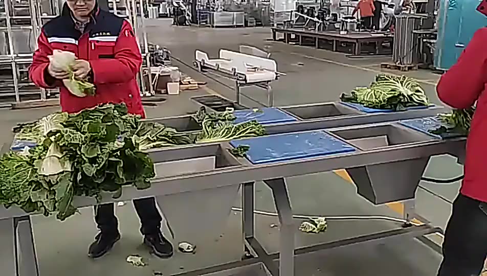 Automatic Vegetable Fruit Processing Line Fruit Vegetable Processing 5976