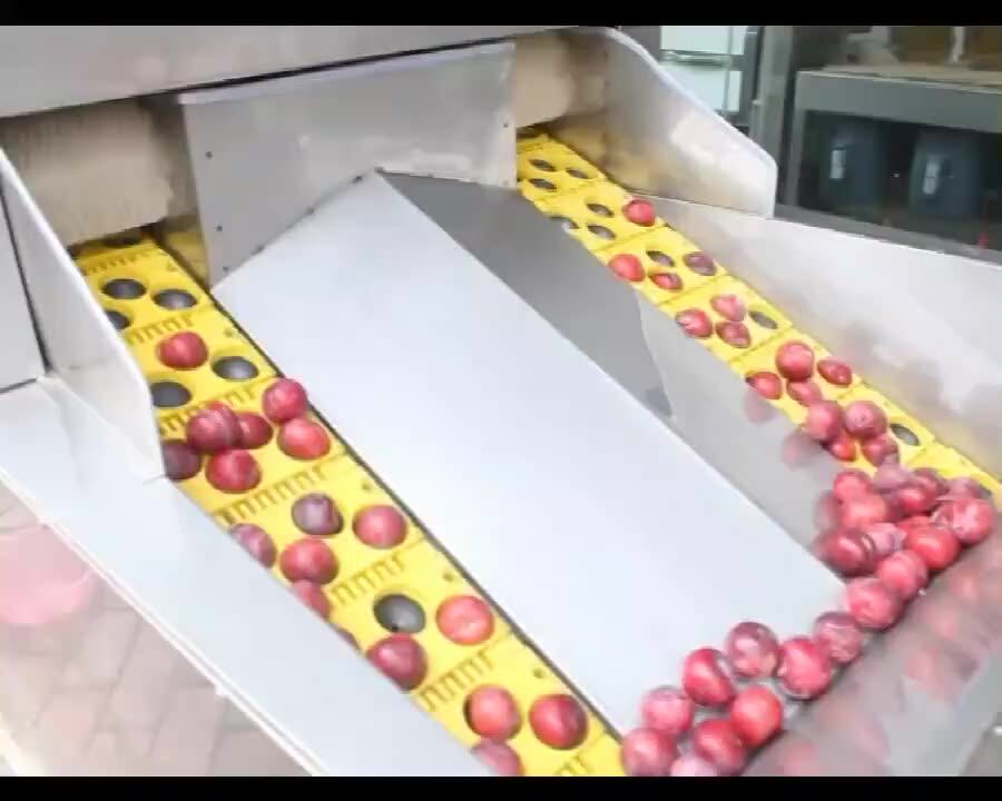 Industrial Jujube Palm Dates Pitting Machine Cherry Olive Pit Pitter ...