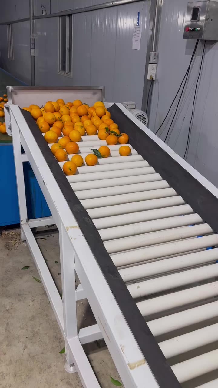 2024 Large Orange Cherry Fruit Sorting Machine Kivi Sorting Avocado ...