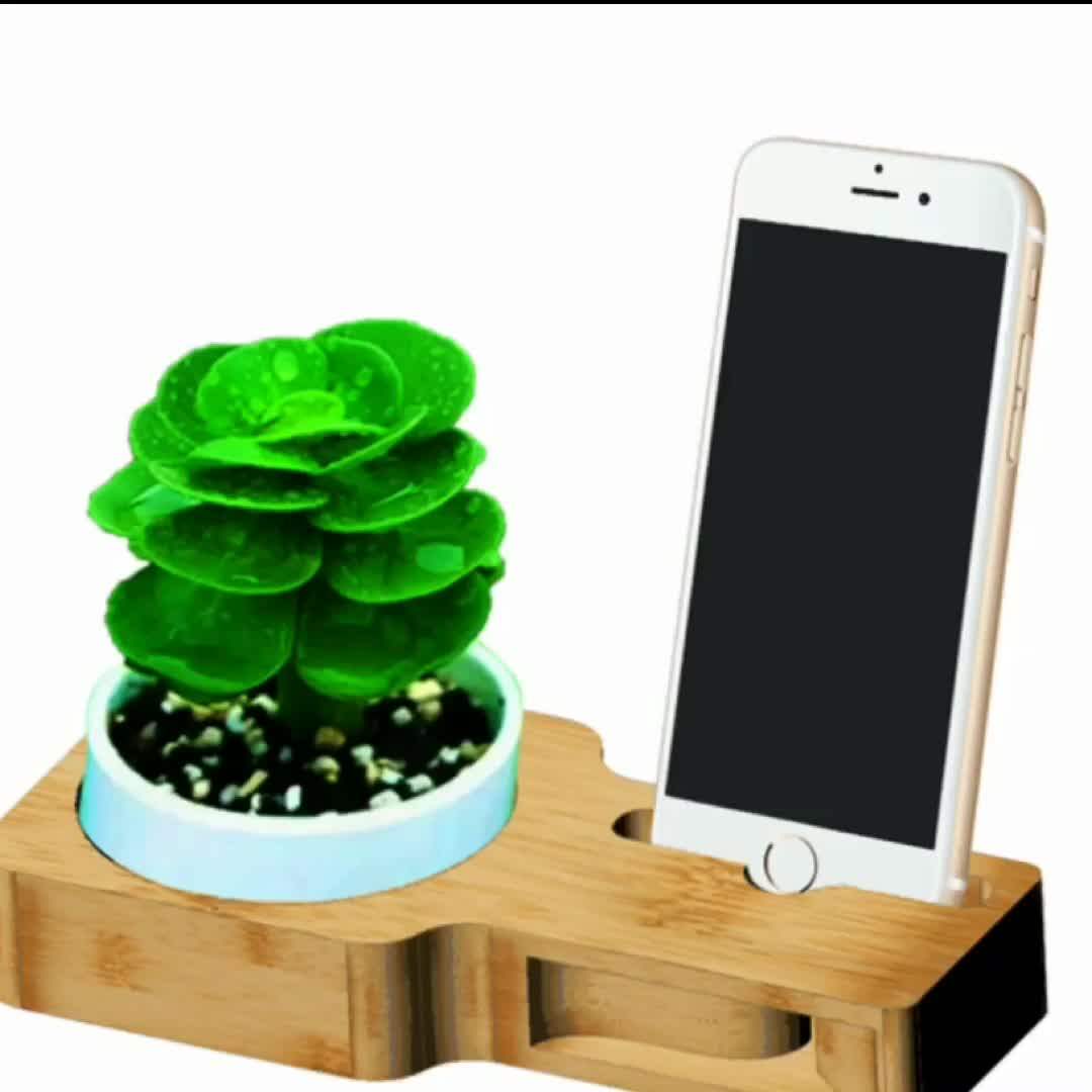 Bamboo Desktop Plant Stand With Phone Holder And Natural Sound ...